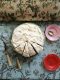 Recipes – Tessa Kiros